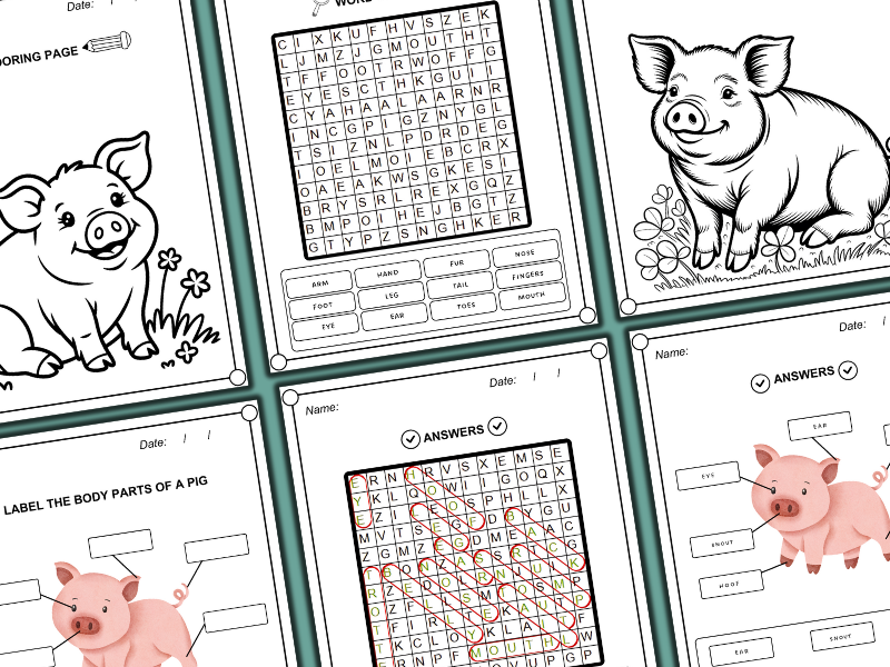 Pig Body Parts / Animal Anatomy / Labeling / Coloring Worksheet / Farm ...