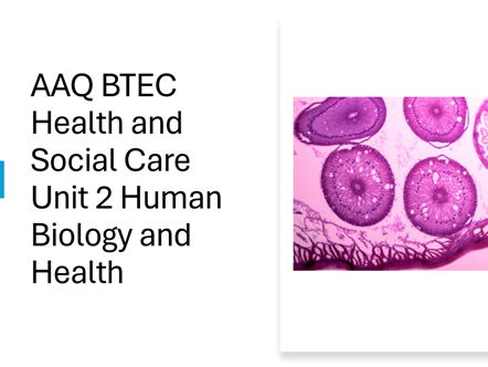 AAQ BTEC Health and Social Care Unit 2 Human Biology LAC | Teaching ...