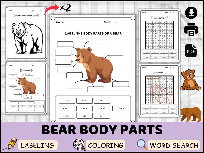 Bear Body Parts in English | Forest Animal Labeling, Coloring & Word ...