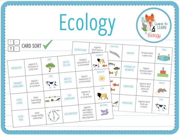 Ecology - Card Sort (KS3/4) | Teaching Resources