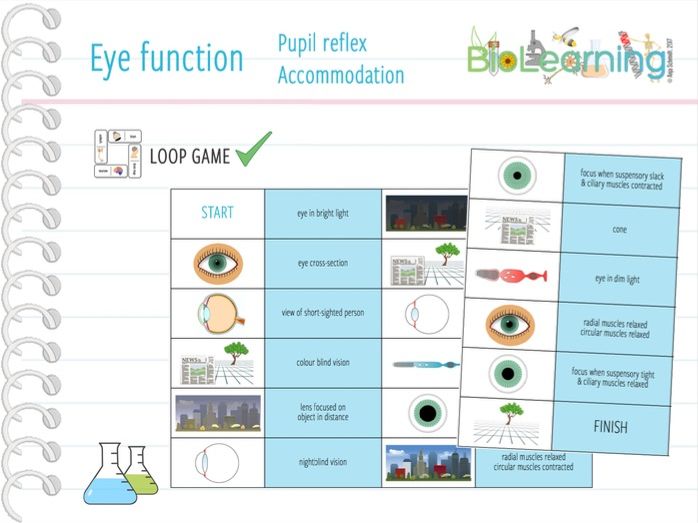 Function of the eye - Loop Game (KS4) | Teaching Resources