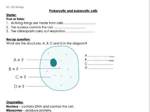 B1 Cell Biology booklet | Teaching Resources