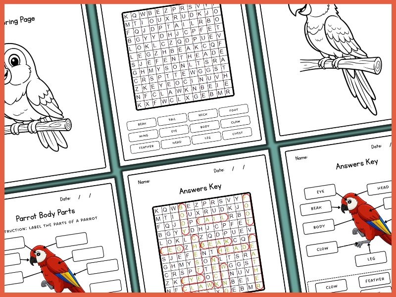 Parrot Body Parts | Bird Anatomy | Tropical Birds | Labeling & Coloring ...