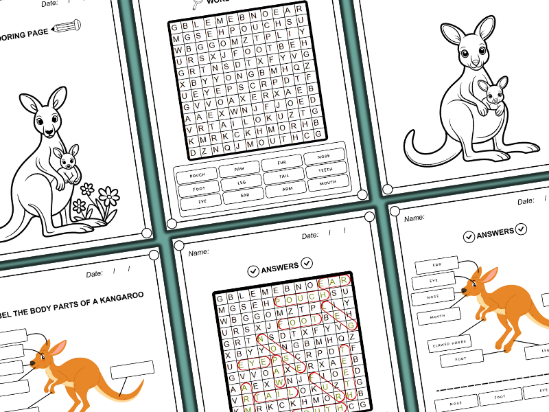 Kangaroo Body Parts / Animal Anatomy / Labeling & Coloring / Australian ...