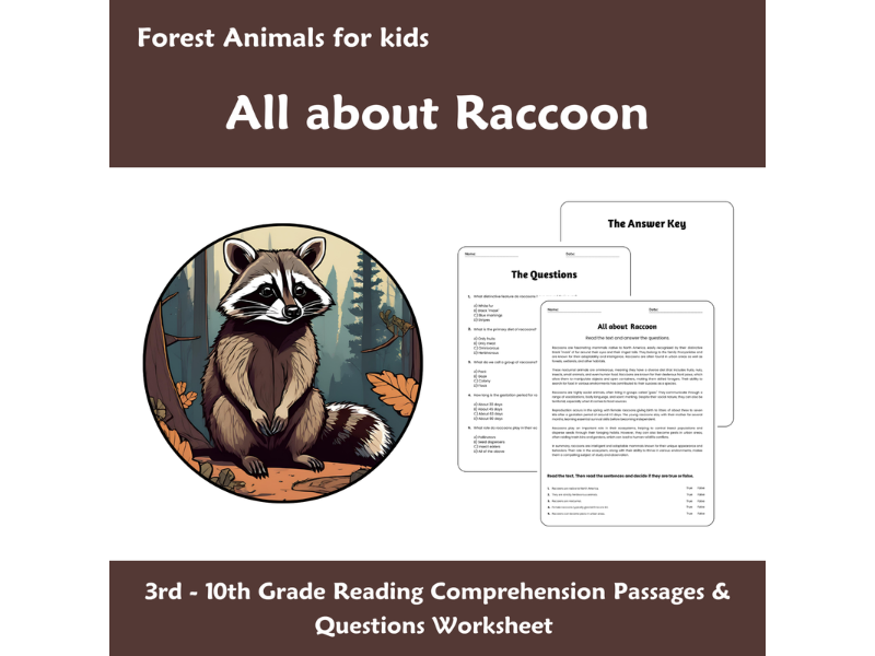 All About Raccoons - Reading Comprehension Passages & Questions ...