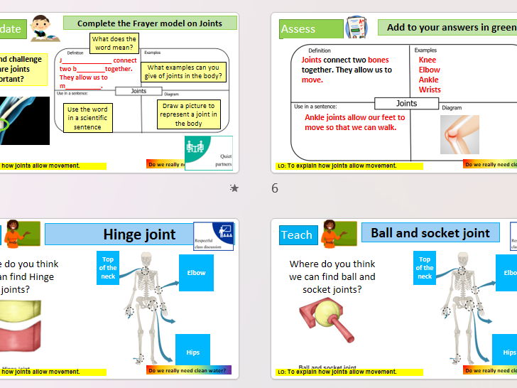 Joints KS3 Science Lesson | Teaching Resources