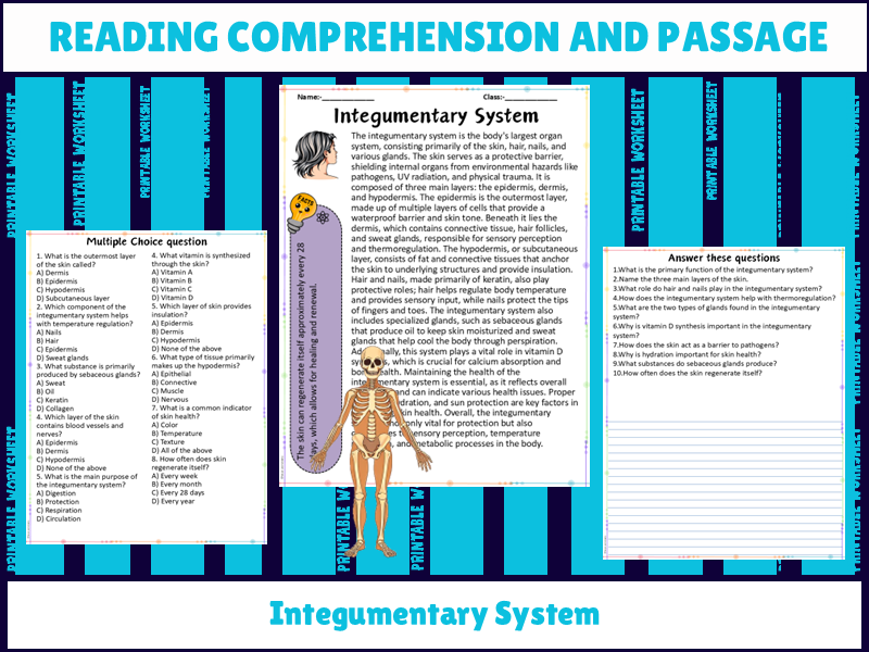 Explore the Integumentary System: Engaging Reading Passage ...