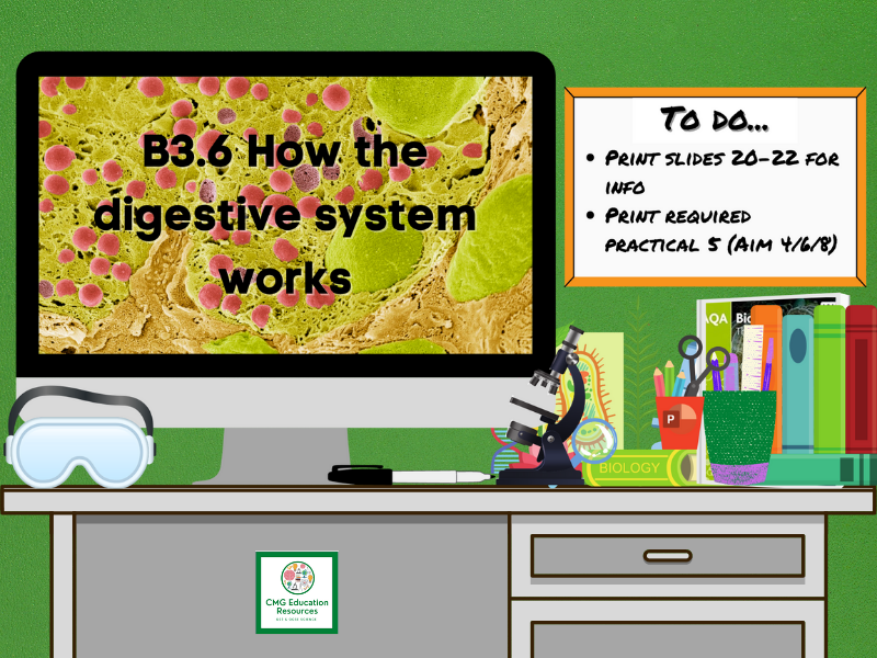 B3 Organisation and the digestive system bundle (AQA 9-1 GCSE Biology ...