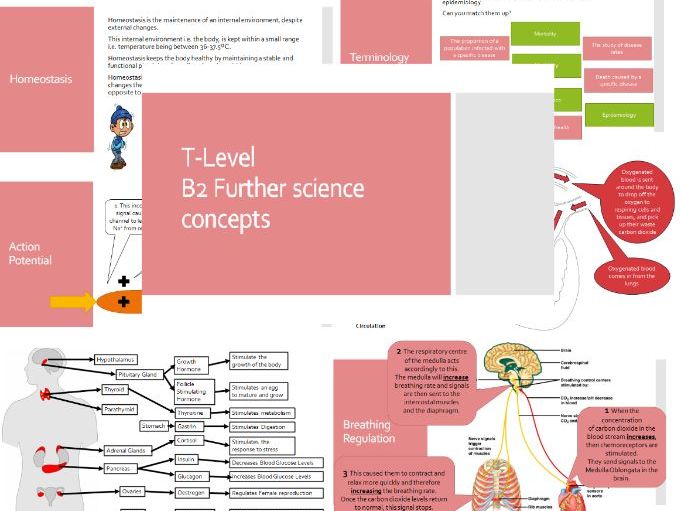 T-Level B2 Further Science Concepts for Health BEFORE 2023 ...