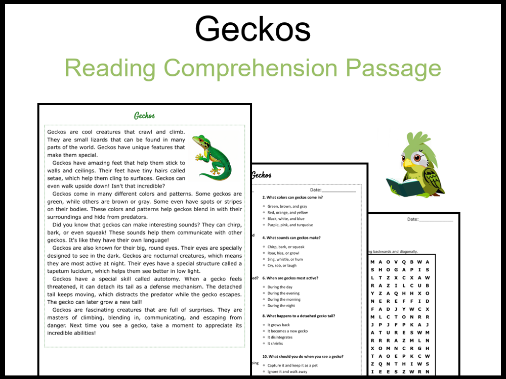 Geckos Reading Comprehension and Word Search | Teaching Resources