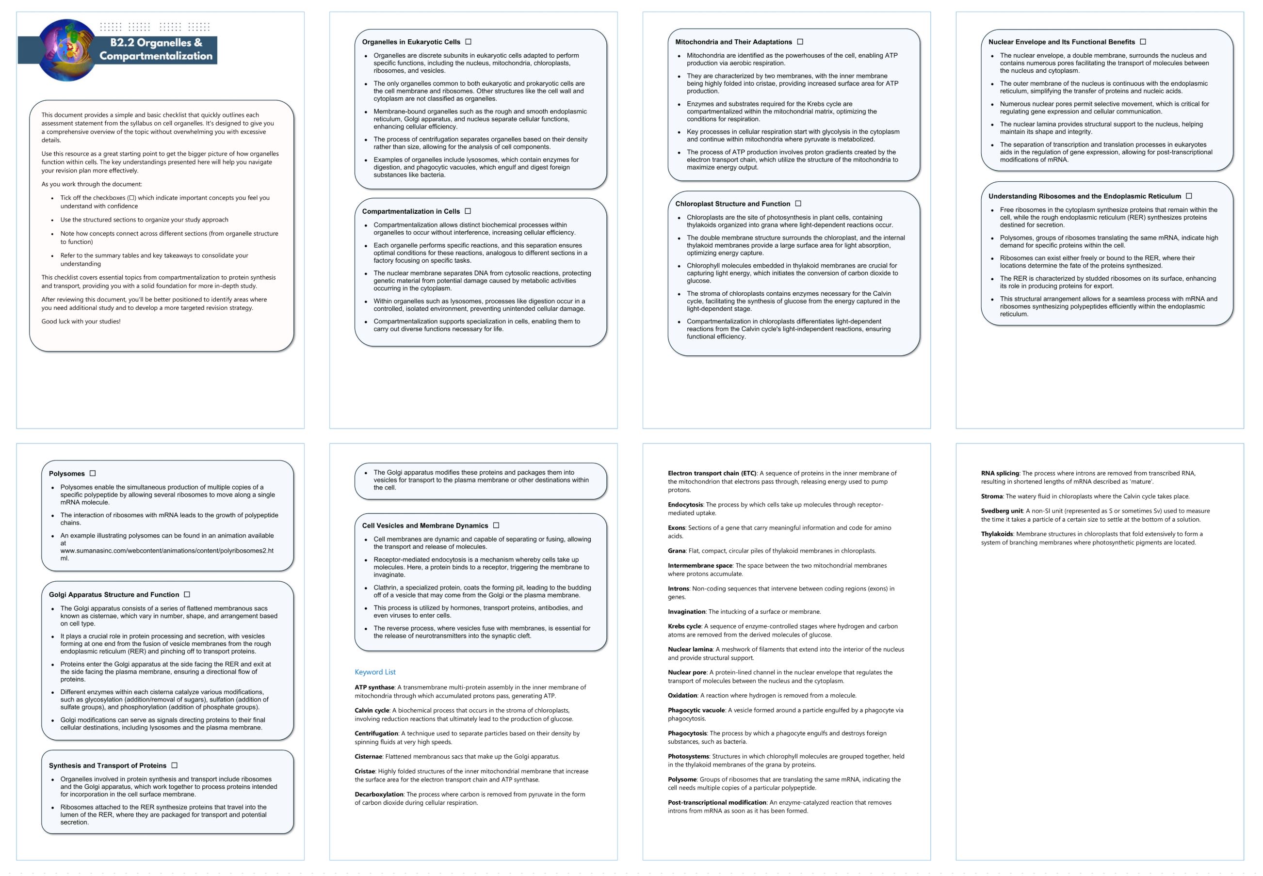 IB DP Biology B2.2 Organelles and Compartments Condensed Topic Notes ...