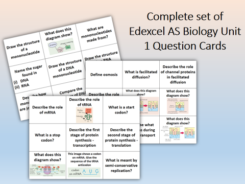 Complete set of Edexcel AS Biology Unit 1 Question Cards | Teaching ...