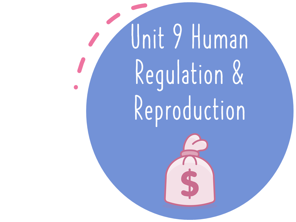 U9 Human Regulation & Reproduction Learning Aim C | Teaching Resources