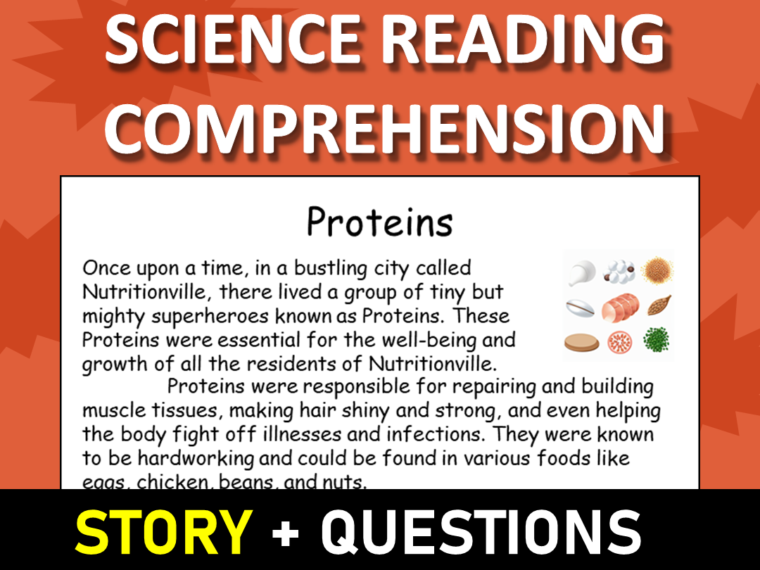 Proteins Reading Science Story Comprehension Questions Worksheet ...