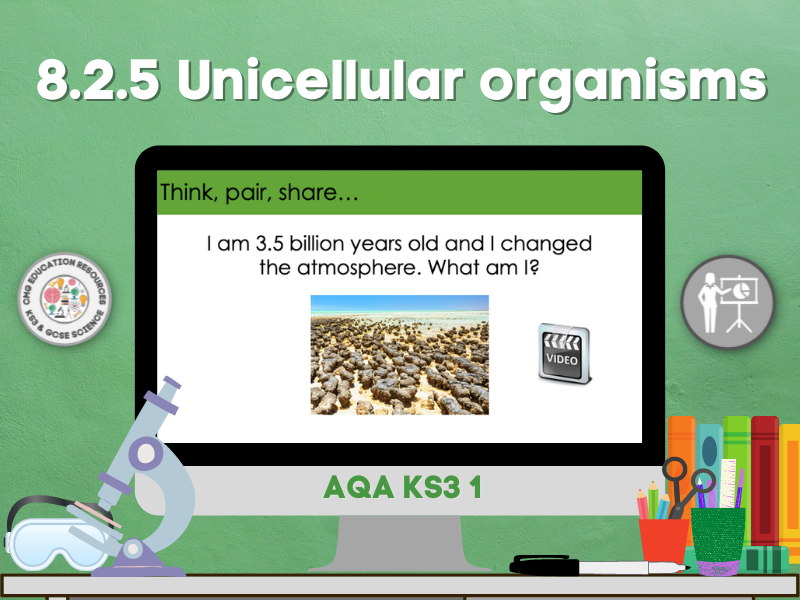 8.2.5 Unicellular organisms: Lesson bundle (AQA KS3 1) | Teaching Resources