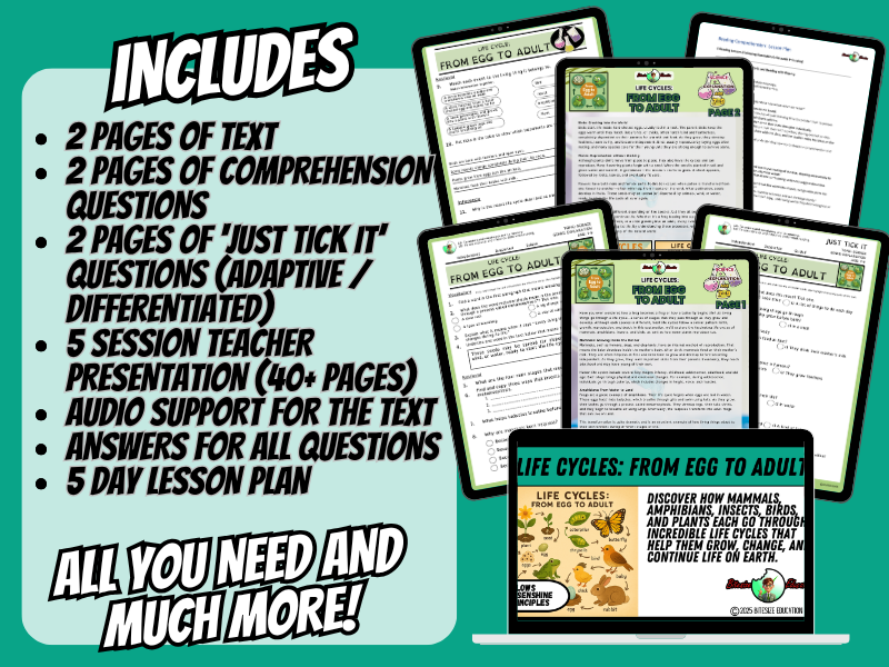 From Egg to Adult | Reading Comprehension | Year 5/6 | Teaching Resources