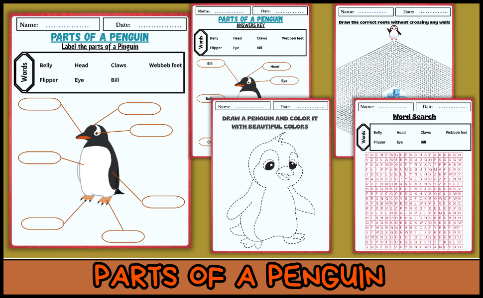 Parts of a Penguin – Labeling, Coloring, and Word Search Animal Science ...