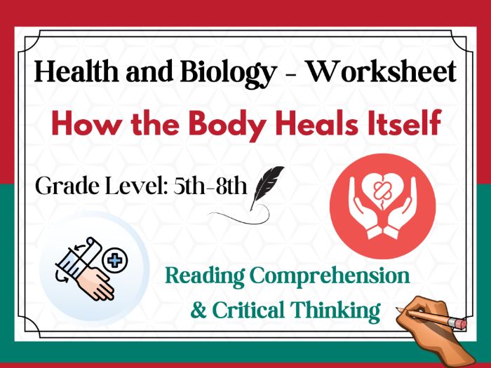 How the Body Heals Itself: Reading Comprehension Passages & Questions ...