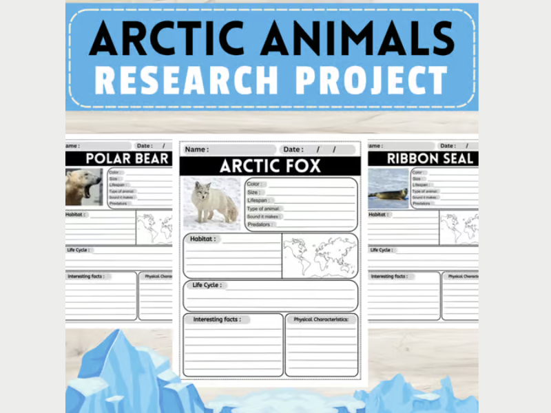 Arctic Animals Research Project Templates | End Of Year Report Writing ...