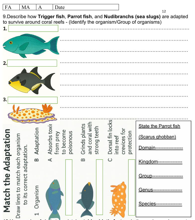 Cambridge IGCSE Marine Science (0697) – Complete Worksheet Bundle ...