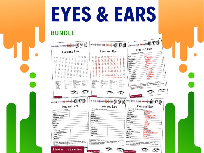 EYES AND EARS SCIENCE ACTIVITY BUNDLE WORD FIND UNSCRAMBLE WORDS EYE 