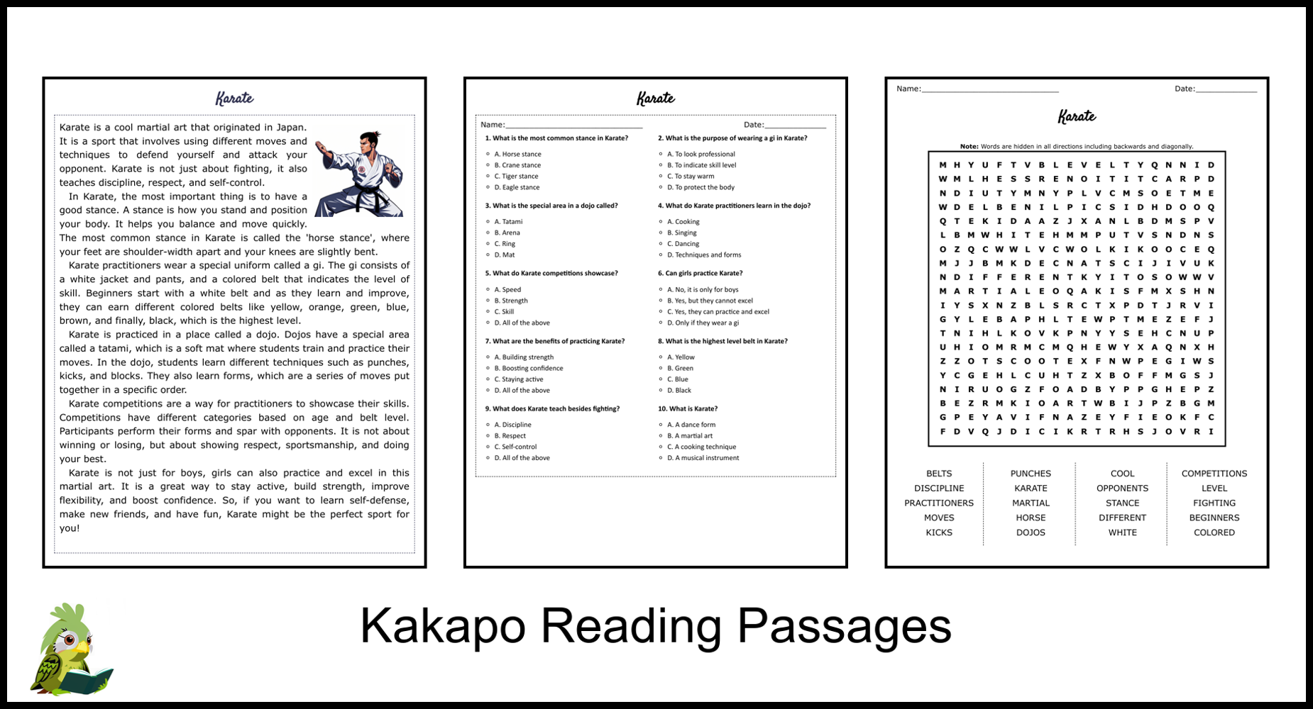 Karate Reading Comprehension and Word Search | Teaching Resources