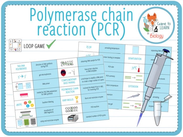 Polymerase chain reaction (PCR) - Loop Game (KS5) | Teaching Resources