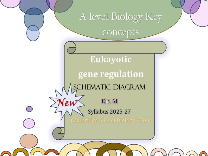 Eukaryotic gene regulation – Schematic Diagram for A Level Biology ...