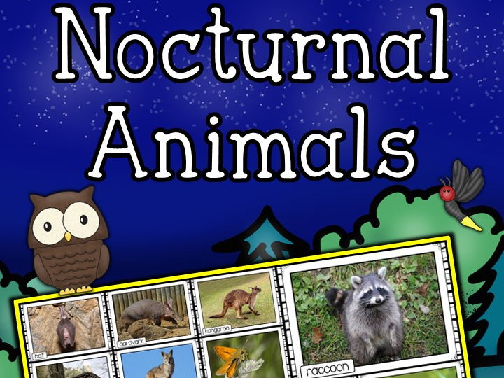 Primary cross-curricular topics teaching resources: Day and night | TES