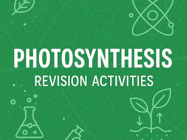 GCSE Photosynthesis Activity | Teaching Resources