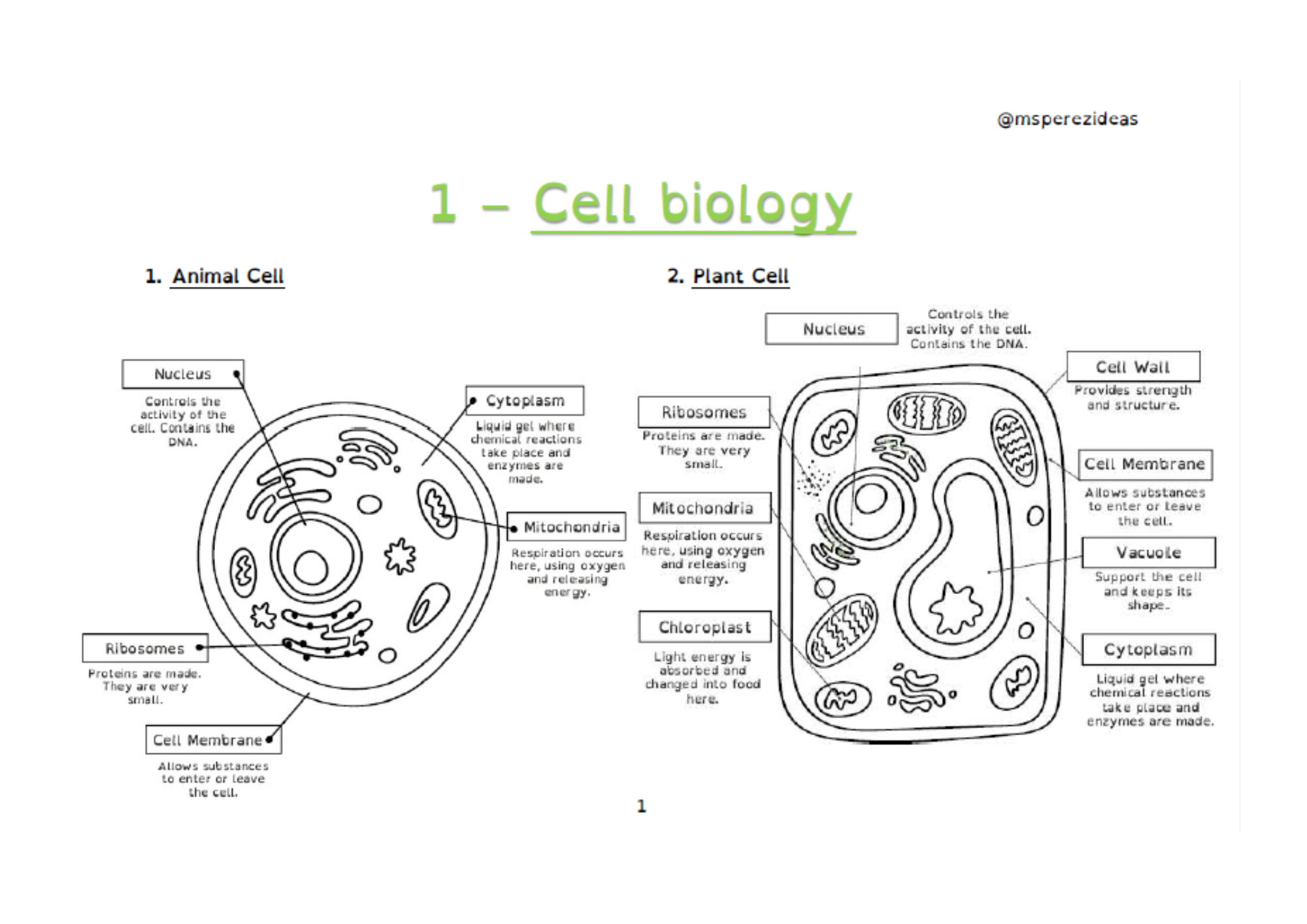 Revision 1 - Cell Biology | Teaching Resources