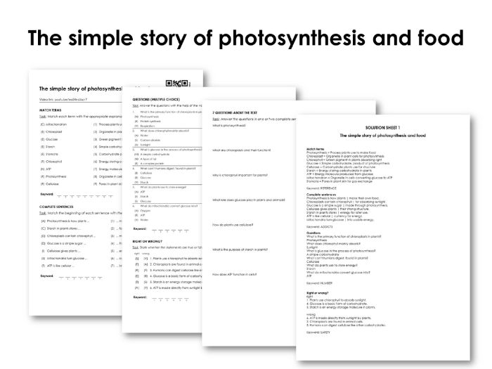 The simple story of photosynthesis and food | Teaching Resources