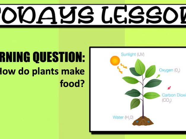Photosynthesis | Teaching Resources