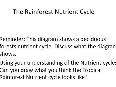 AQA GCSE Geography Tropical Rainforest Soils and Biodiversity ...