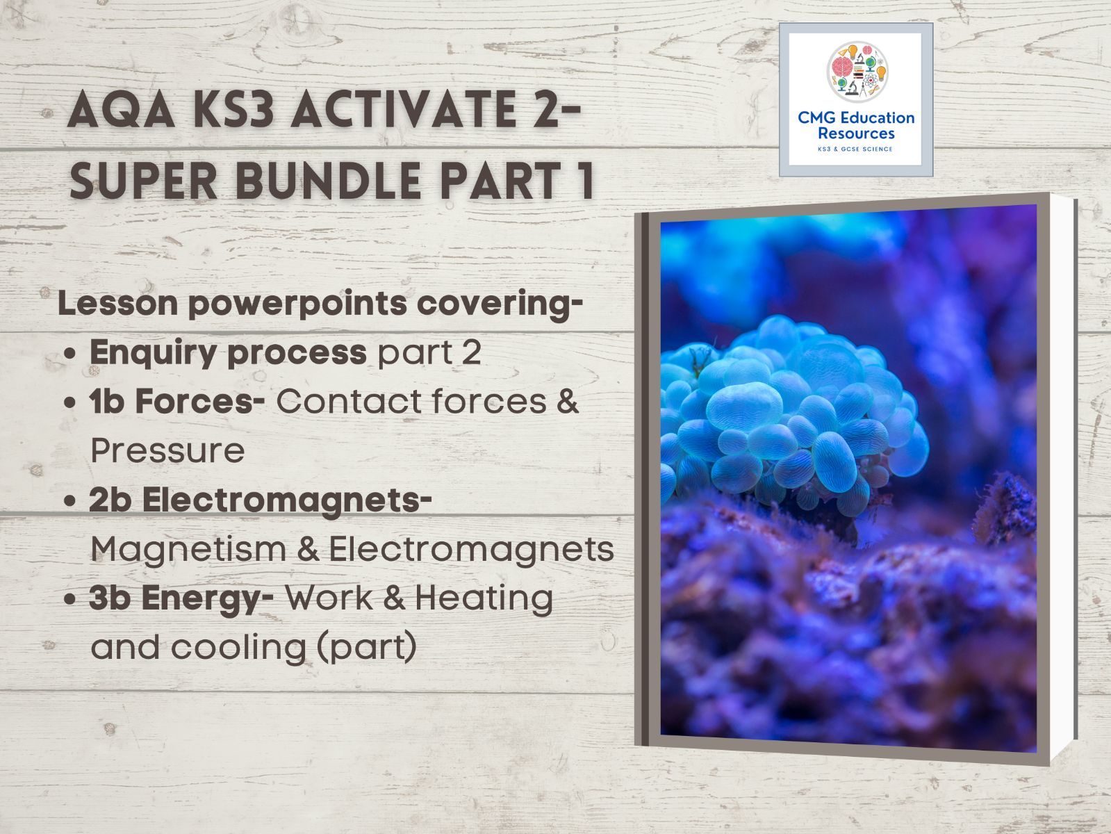 KS3 AQA Activate 2- Super bundle part 1/4 | Teaching Resources