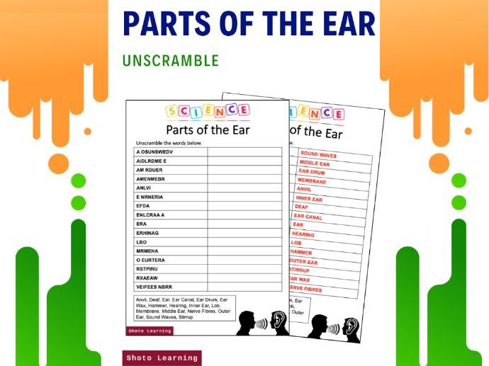 Parts Of Ear Worksheet