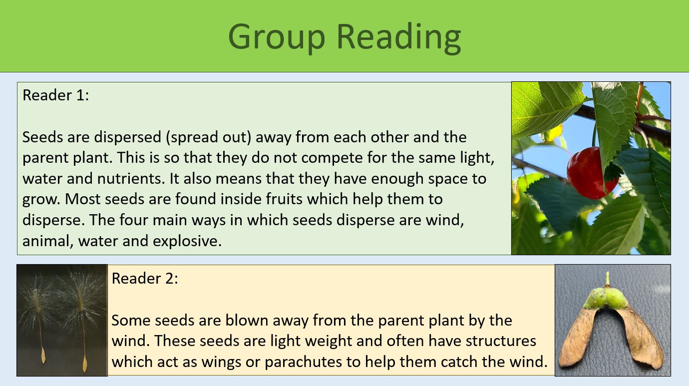 Seed Dispersal ~ KS3 ~ Year 7 | Teaching Resources