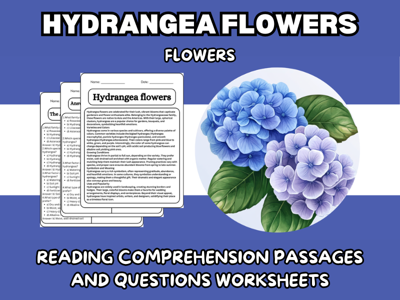 Hydrangea Flowers - Flowers Reading Comprehension Passages & Questions ...