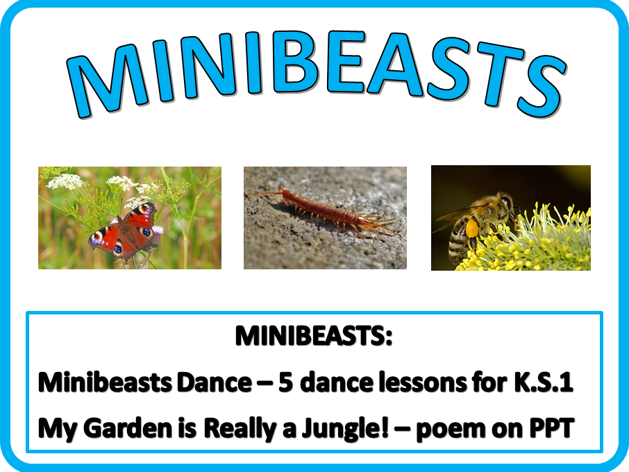 Preschool minibeasts resources