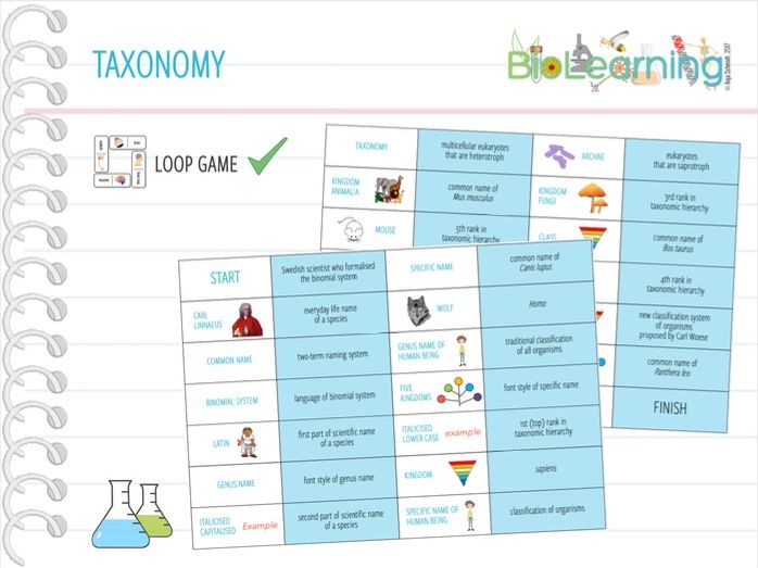 Taxonomy - Loop Game (KS5) | Teaching Resources