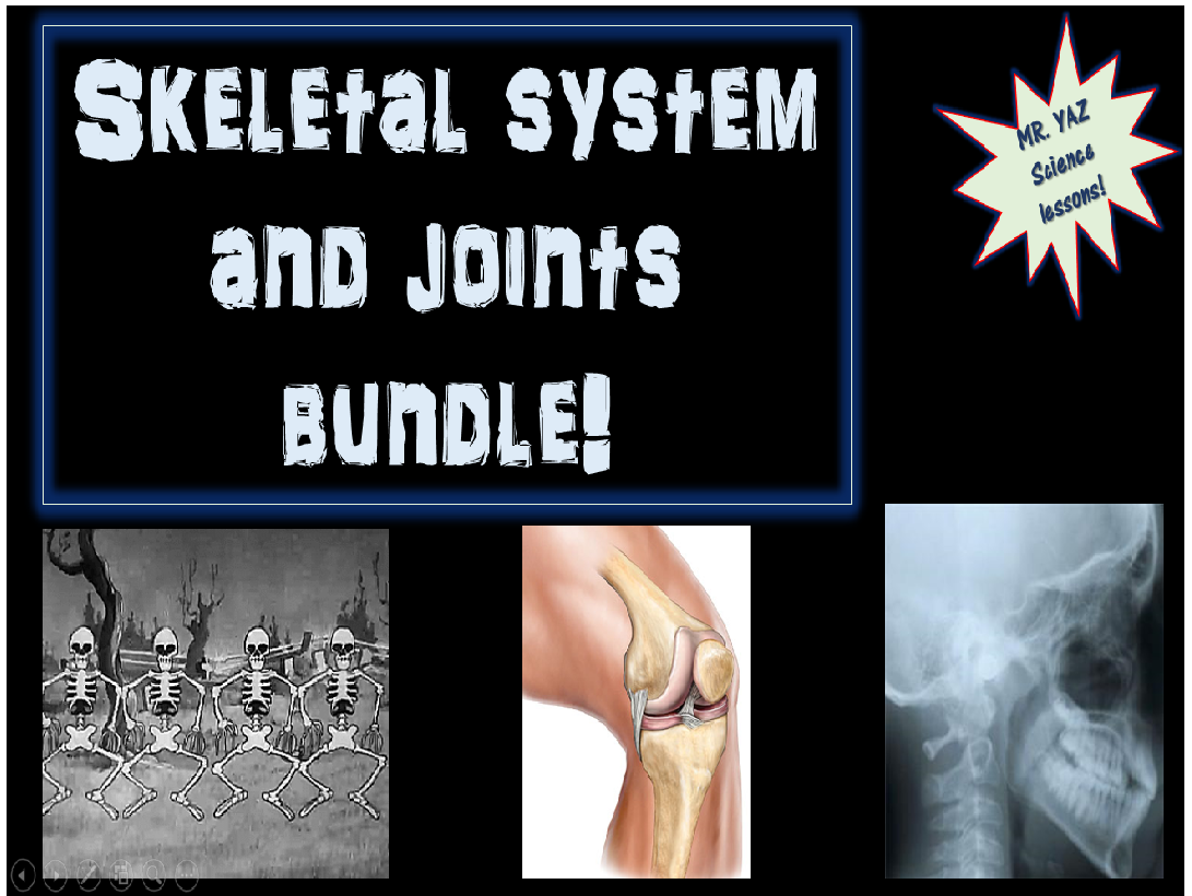 Skeletal system and Joints Bundle | Teaching Resources