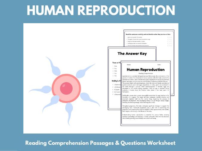 Human Reproduction: Reading Comprehension Passages & Questions ...