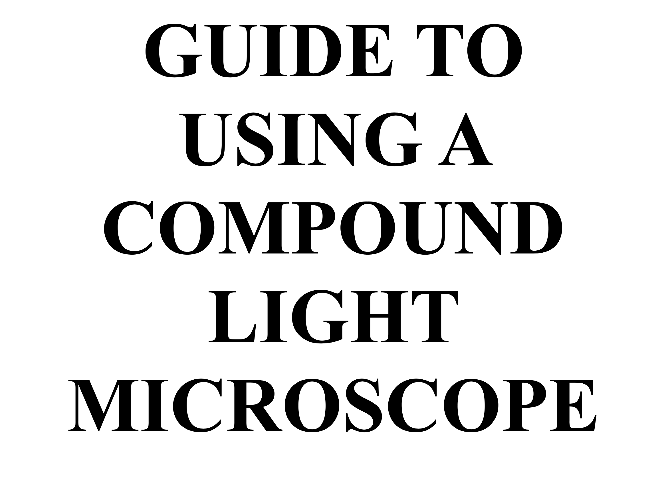 Light Microscopes Guide | Teaching Resources