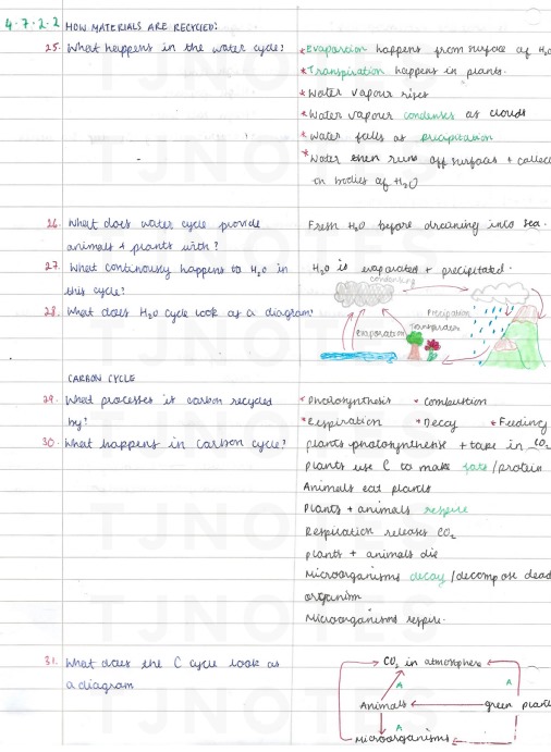 Grade 9 Ecology GCSE Biology Paper 2 Combined Science Higher AQA ...