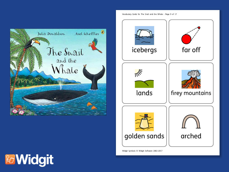 Widgit Software's Shop - Teaching Resources - TES