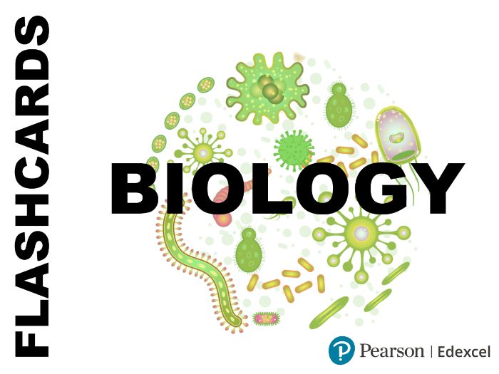 Elliot Tierney's Shop - Teaching Resources - TES