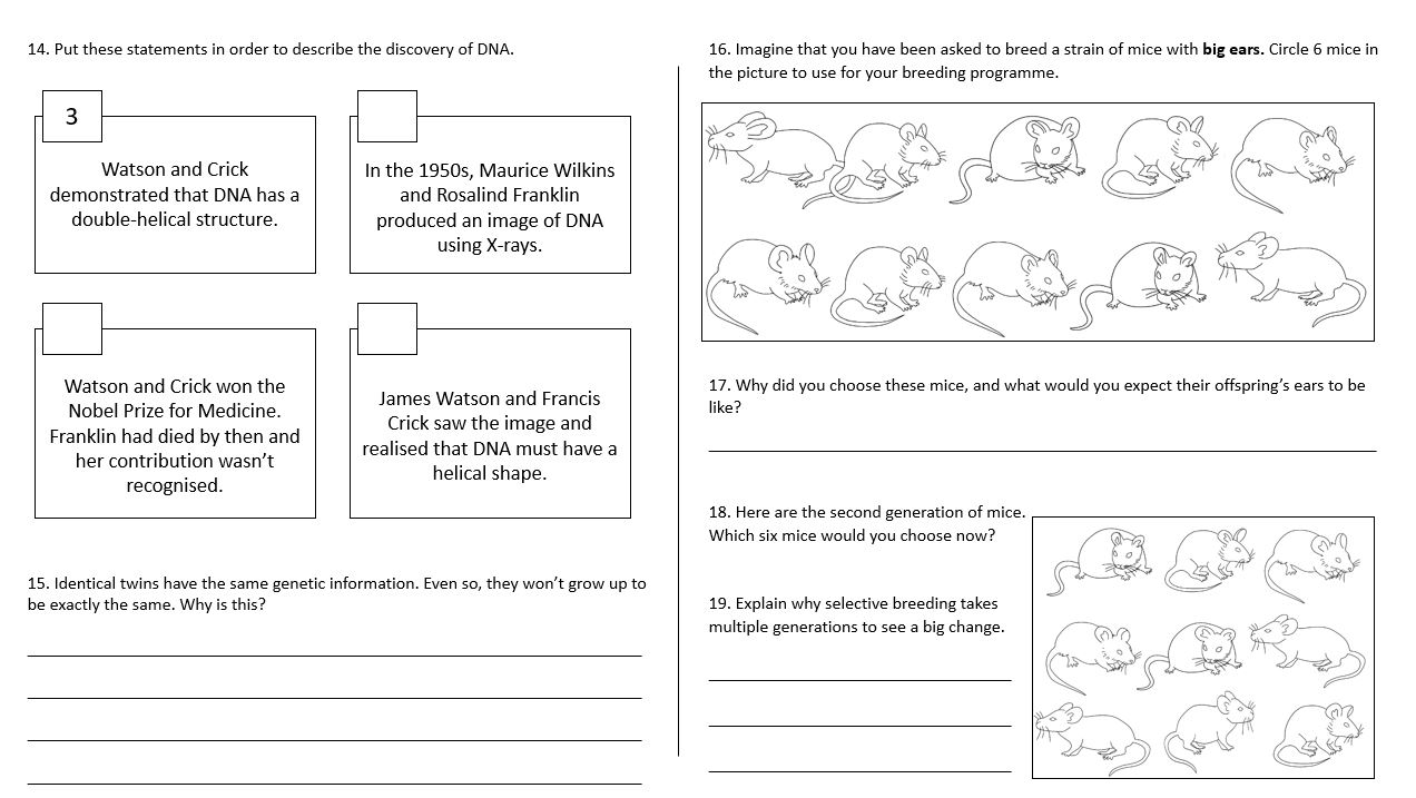 Adaptation and Inheritance ~ KS3 ~ End of Topic Revision ~ Year 8 ...