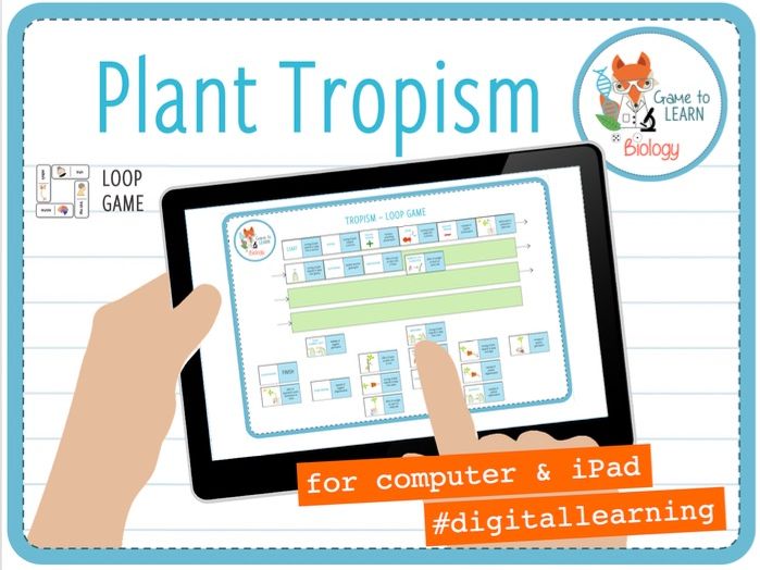 Plant Tropism - Digital Loop Game for iPad (KS3/4) | Teaching Resources