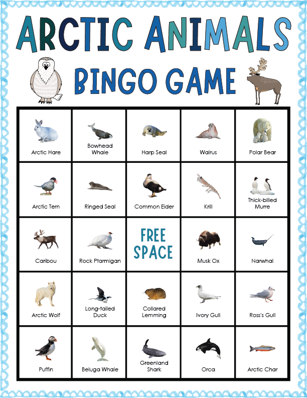 No Prep Arctic Polar Animals Bingo Game | Winter Wildlife Habitats ...