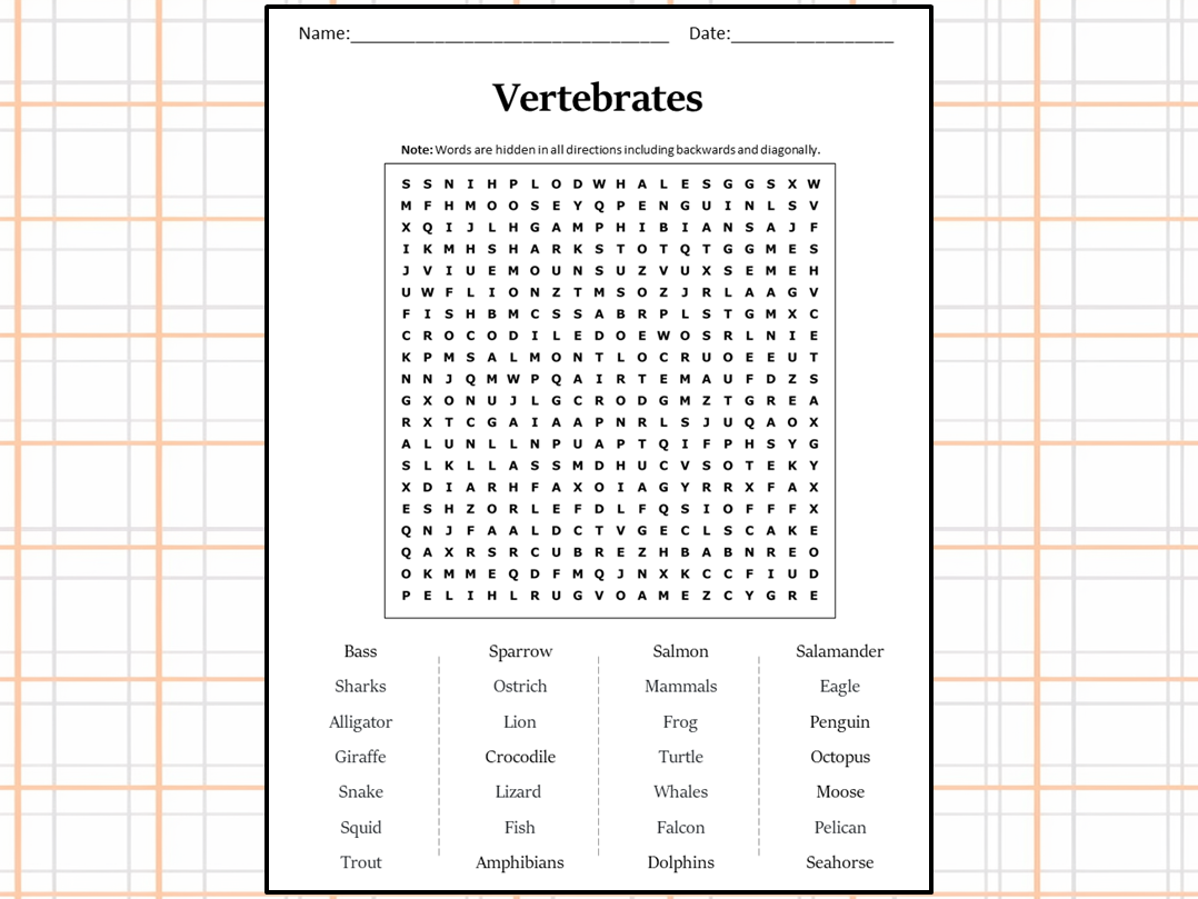 Vertebrates Word Search Puzzle Worksheet Activity | Teaching Resources